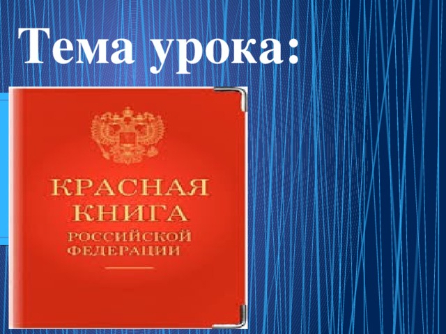 Презентация Красная книга 2 класс